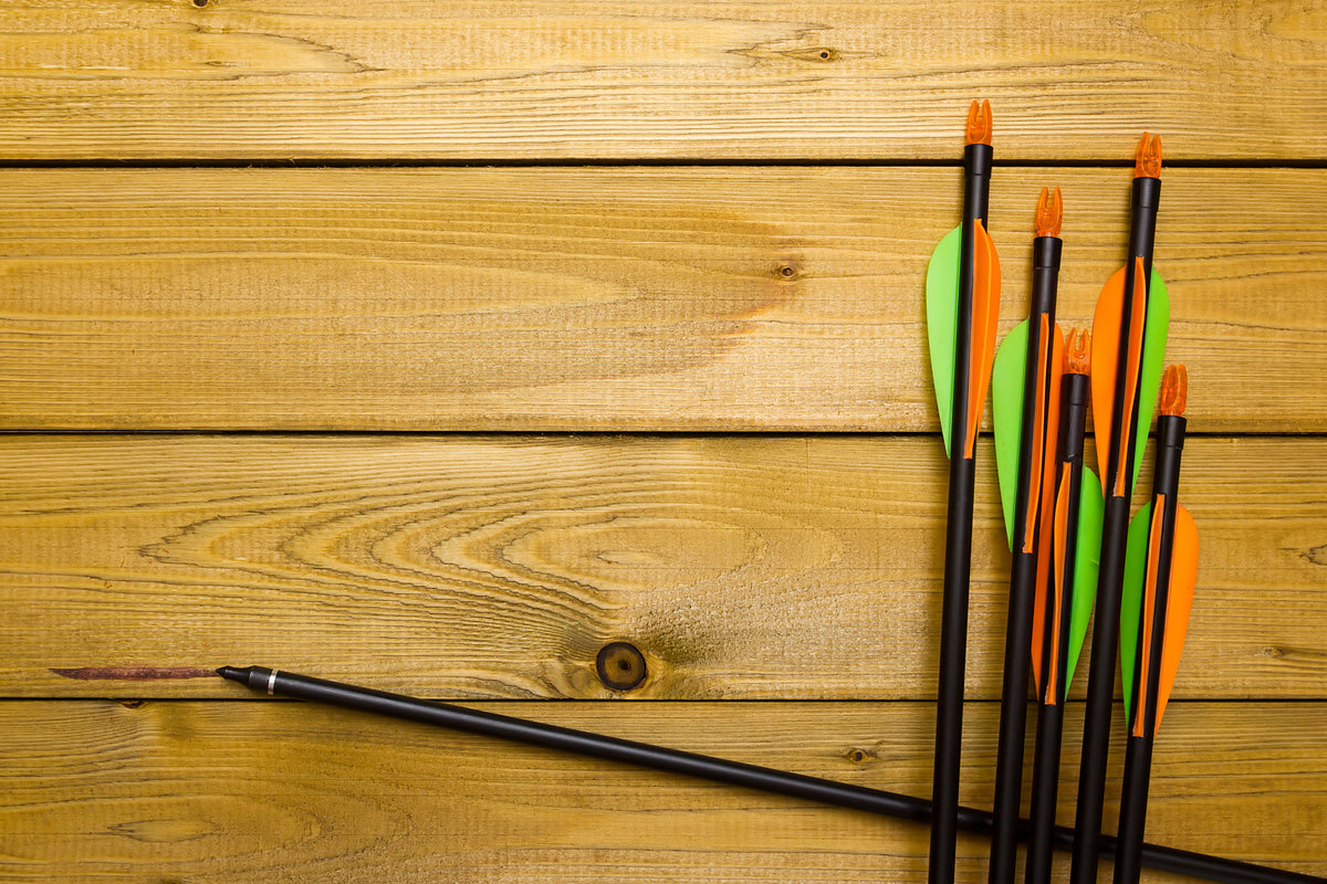 Avalon Recreational Arrows | Set of 12 Arrows | Complete with Nock Pin ...