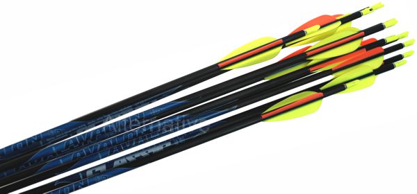 AVALON | CLASSIC CARBON ARROWS COMPLETE | ARROWS & ACCESSORIES | ARROW ...
