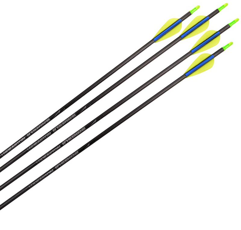 EASTON | INSPIRE CARBON ARROWS COMPLETE | ARROWS & ACCESSORIES | ARROW ...